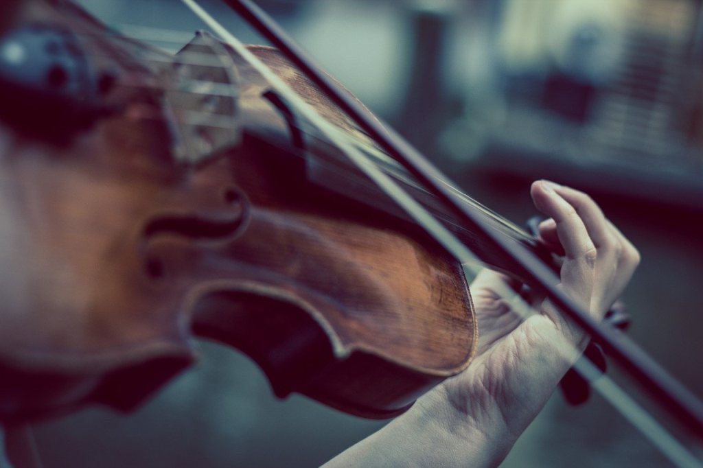 Violinen | Geigen | Informationen über die Violine | Instrument ...